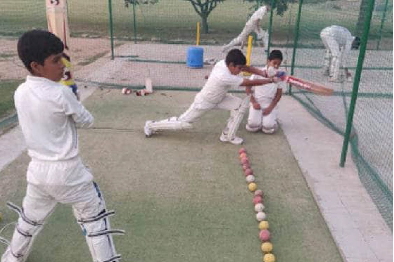 Midwicket – Cricket Planning Experts