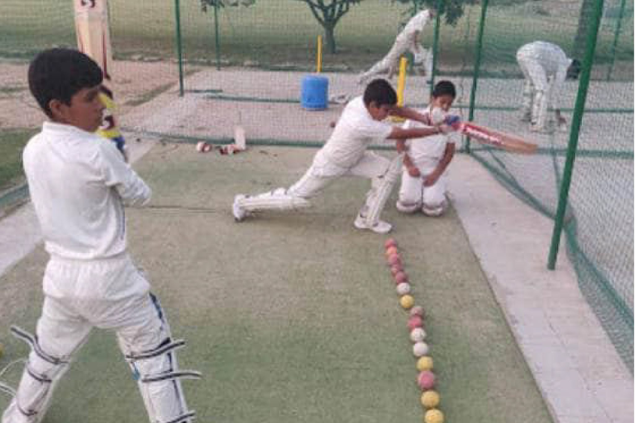 Midwicket – Cricket Planning Experts