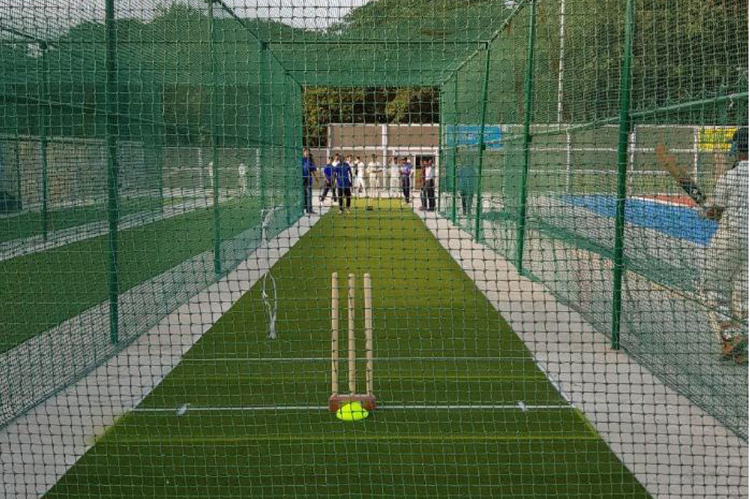 Midwicket – Cricket Planning Experts