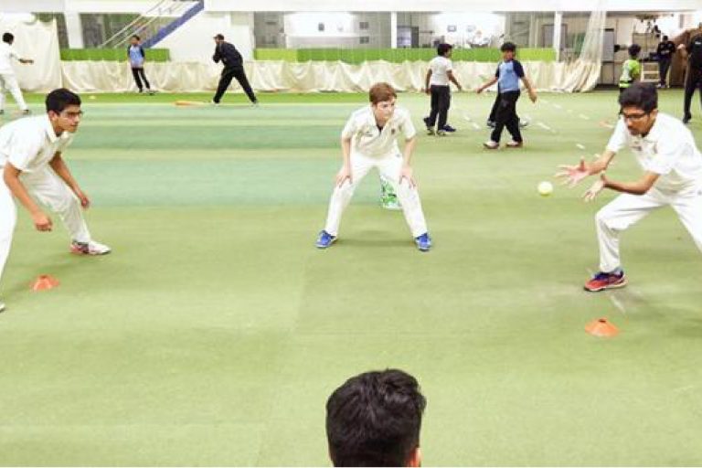 Midwicket – Cricket Planning Experts